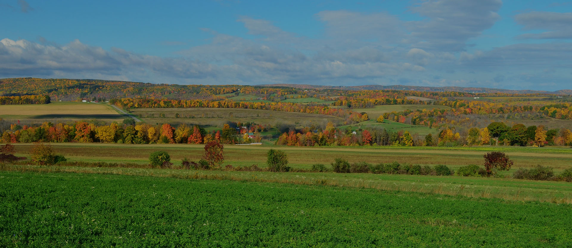 Home Town Of Stamford NY Home Town Of Stamford NY